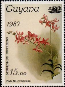 Stamp: Dendrobium superbiens - overprint and surcharge (Guyana(Orchids ...
