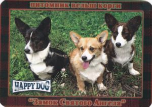 Pocket Calendar: Welsh Corgi (Russia(Happy Dog) Col:RUS-2005-Dog-010.02