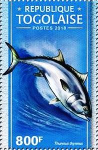 Stamp: Thunnus thynnus (Togo(Endangered Species (2018)) Mi:TG 8962,Yt ...