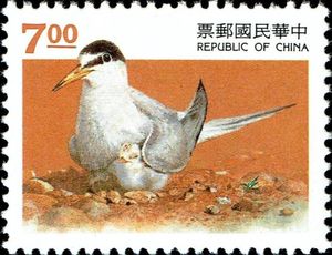 邮票: Bridled Tern (Sterna anaethetus) (台湾（中华民国）(Parent-Child ...