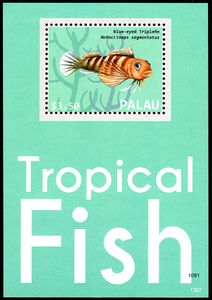 Stamp: Blue-eyed Triplefin (Notoclinops segmentatus) (Palau(Tropical ...