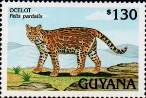 Stamp: Ocelot (Guyana(Animals of Guyana) Mi:GY 3880,Sn:GY 2616,Sg:GY 3328