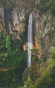 Tarjeta Postal: Springbrook Mountains - Purlingbrook Falls (Australia ...