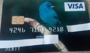 Bank Card: Bird (ING Bank Śląski SA, PolandCol:PL-VI-0321.01 💳