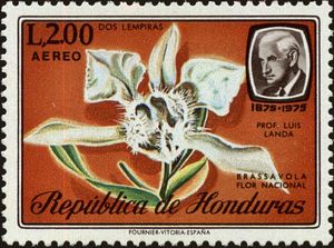 Briefmarke: Luis Landa (Honduras(The 100Th Aniversary of Birth of Luis ...