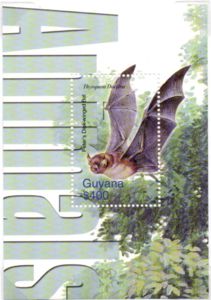 Timbre: Peter's Disk-Winged Bat (Guyana(Fauna and flora) Mi:GY BL765,Sn ...