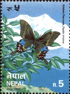 Stamp: Krishna Peacock (Papilio krishna) (Nepal) (Fauna) Mi:NP 630,Sn ...