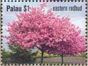 Stamp: Eastern Redbud (Cercis canadensis) (Palau(Flowering Trees) Mi:PW ...