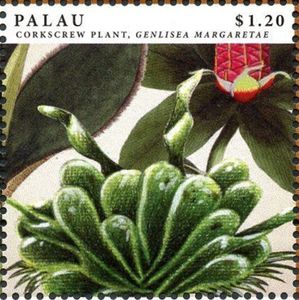 Stamp: Corkscrew Plant (Genlisea margaretae) (Palau(Carnivorous Plants ...
