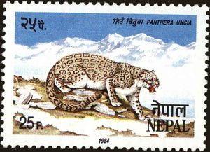 Stamp: Snow Leopard (Panthera uncia) (Nepal(Wildlife) Mi:NP 445,Sn:NP ...