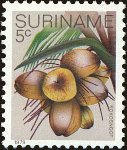 Stamp: Kokosnoot or Coconut (Suriname(Postal stamp, Fruits) Mi:SR 838A ...