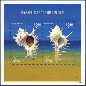 Stamp: Seashells of the Indo Pacific (Palau(Seashells of the Indo ...
