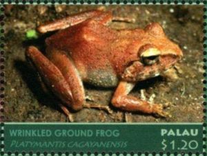 Stamp: Wrinkled Ground Frog (Platymantis cagayanensis) (Palau(Frogs) Mi ...