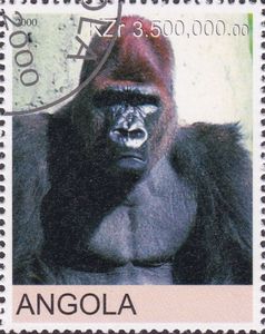 Stamp: Western Gorilla (Gorilla gorilla) (Angola: Illegal Stamps ...