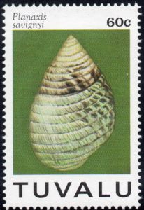 Stamp: Sea Snail (Planaxis savignyi) (Tuvalu(Sea Shells) Mi:TV 694,Sn ...