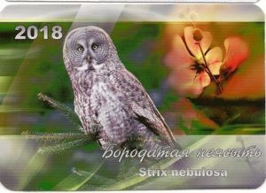 Calendario de Bolsillo: Bearded Owl (Rusia(Birds) Col:RUS-2018-Owl-003.02