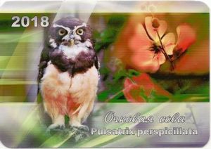 Calendario de Bolsillo: Ophthalmic Owl (Rusia(Birds) Col:RUS-2018-Owl ...