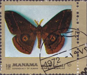 Stamp: Moth (Salassa lola) (Manama(Butterflies, gold frame (1972:1)) Mi ...