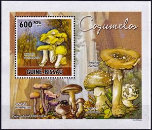 Stamp: Russula ochroleuca (Guinea-Bissau: Illegal Stamps(Mushrooms 2010 ...