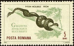 Stamp: Indian Python (Python molurus) (Romania(Bucharest Zoo) Mi:RO ...