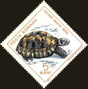 Stamp: Greek Tortoise (Testudo graeca) (Romania(Reptiles (1965)) Mi:RO ...