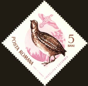 Stamp: Common Quail (Coturnix coturnix) (Romania(Birds) Mi:RO 2430,Sn ...