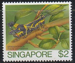 Stamp: Grasshopper (Traulia azureipennis) (Singapore(Insects) Mi:SG 472 ...