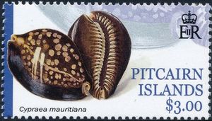 Stamp: Humpback cowrie (Cypraea mauritiana) (Pitcairn Islands(Shells ...