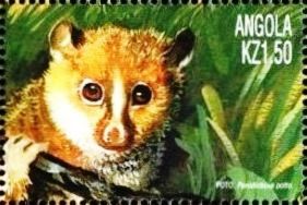 Stamp: Milne-Edwards's Potto (Perodicticus potto) (Angola(Animals of ...