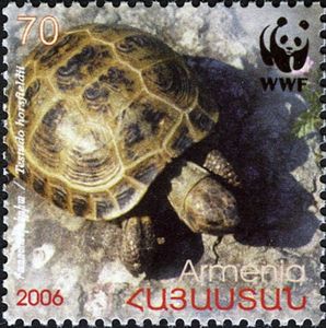 Stamp: Horsfield's Tortoise (Testudo horsfieldii) (Armenia) (WWF ...