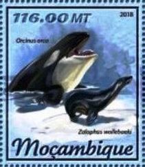 Stamp: Killer Whale (Orcinus orca) (Mozambique(Orcas (2018)) Mi:MZ 9329 ...
