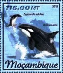 Stamp: Killer Whale (Orcinus orca) (Mozambique(Orcas (2018)) Mi:MZ 9332 ...