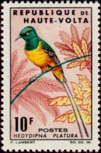 Stamp: Pygmy Sunbird (Hedydipna platura) (Upper Volta) (Birds) Mi:BF ...