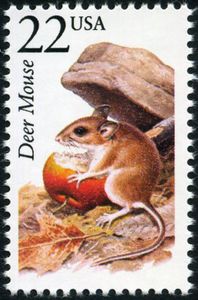 切手: Eastern Deer Mouse (Peromyscus maniculatus) (アメリカ合衆国(North American ...
