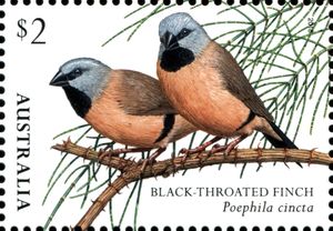 Stamp: Black-throated Finch (Poephila cincta) (Australia(Finches (2nd ...