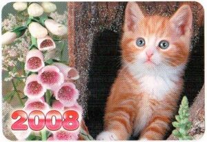 Calendario de Bolsillo: Kitten from Hollow (Rusia(Cats) Col:RUS-2008-Cat-001.19