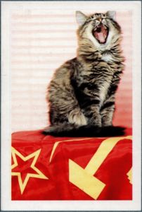 Calendario de Bolsillo: Yawning Cat on the Flag (Unión Soviética, URSS ...
