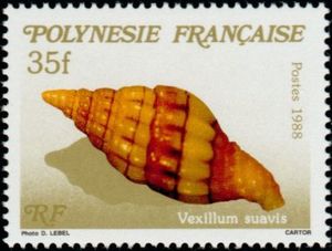Stamp: Ribbed Miter (Vexillum suavis) (French Polynesia(Shells) Yt:PF ...
