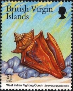 Stamp: West Indian Fighting Conch (Strombus pugilis) (British Virgin ...
