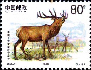 邮票: Manchurian Wapiti (Cervus canadensis xanthopygus) (中华人民共和国(China ...