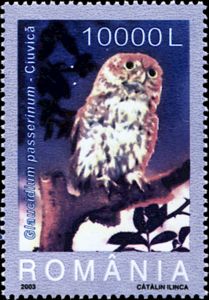 Stamp: Eurasian Pygmy-Owl (Glaucidium passerinum) (Romania) (Owls) Mi ...