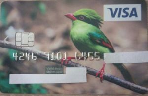 Bank Card: Bird (ING Bank Śląski SA, PolandCol:PL-VI-0372