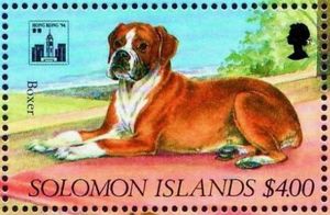 Stamp: Boxer (Solomon Islands(International Stamp Exhibition HONG KONG ...