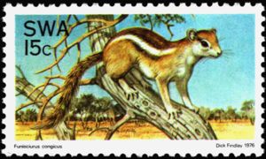 Stamp: Congo Rope Squirrel (Funisciurus congicus) (South-West Africa ...