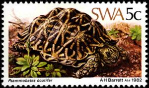 Stamp: Serrated Tortoise (Psammobates oculifer) (South-West Africa ...