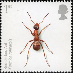 Stamp: Red-barbed Ant (Formica rufibarbis) (United Kingdom of Great ...