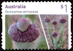 Stamp: Tecticornia verrucosa (Australia(Australian Succulents) Mi:AU 4657I