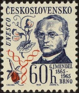 Stamp: Johann Gregor Mendel - The Century of Genetics 1865-1965 ...