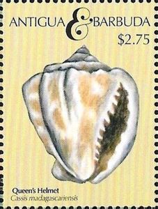 Stamp: Queen's Helmet (Cassis madagascariensis) (Antigua and Barbuda ...