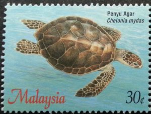 Stamp: Leatherback Turtle (Malaysia(Turtles of Malaysia (1995)) Sg:MY 577w